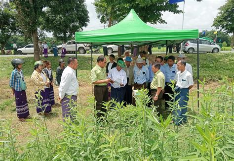 ဇလွန်မြို့နယ်တွင် သစ်စိမ်းမြေသြဇာ ပိုက်ဆံလျှော် ထယ်ထိုးမြေဖုံးခြင်း ကွင်းသရုပ်ပြပွဲ ပြုလုပ