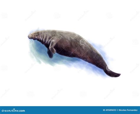 Steller S Sea Cow Stock Illustration Illustration Of Colorful 49589693
