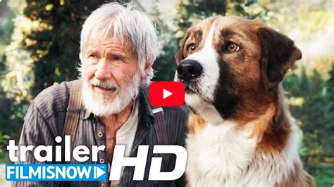 Film Il Richiamo Della Foresta Il Trailer Ufficiale