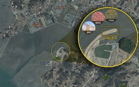 화성시‘블루카본 기반 그린리빙 조성 시범사업 추진