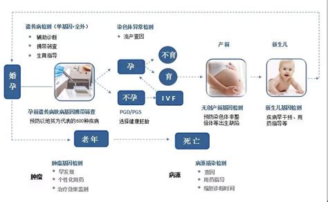 Ngs基因测序相关生产企业一览 Caclp体外诊断资讯网
