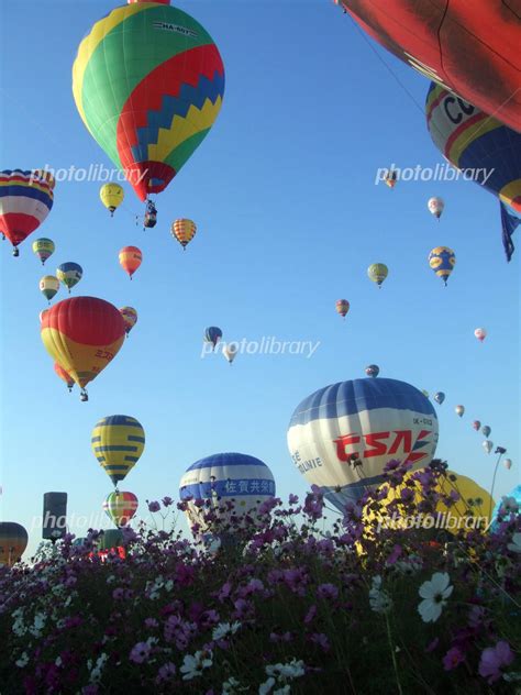 気球とコスモス 写真素材 536986 無料 フォトライブラリー Photolibrary