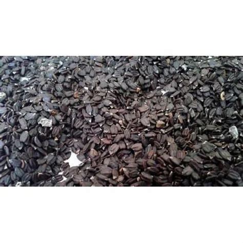 Food Grade Babchi Extract Psoralea Corylifolia At ₹ 550 Kilogram In Sonipat