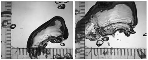 The Correlation Between Macroscopic Image And Object Properties With Bubble Size In Flotation