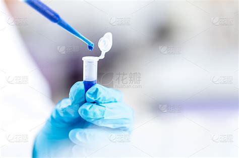 实验室生化分析和化学分析。