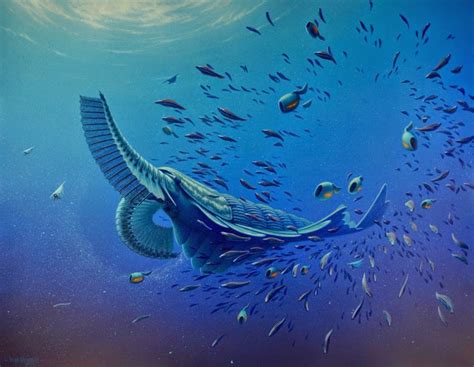 Natural Selections What Tamisiocaris Tells Us About The History Of Life