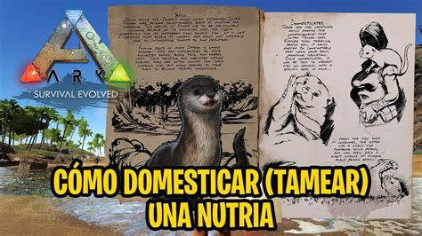 Cómo Domesticar Tamear Una Nutria En Ark Survival Evolved 2021 Youtube