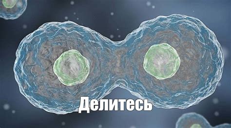 Создать мем "большая клетка, микробы, раковые клетки" - Картинки - Meme ...