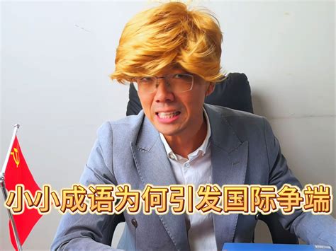 小小成语为何引起国际争端？ 漫谈天宇 漫谈天宇 哔哩哔哩视频