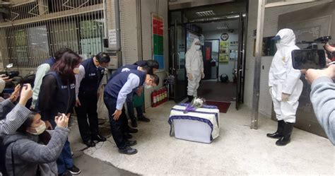 為自由而死！東非狒狒逃亡16天遭擊斃 懶人包一次看 Yahoo奇摩汽車機車