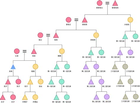 亲缘关系图模板 亲缘关系图模板