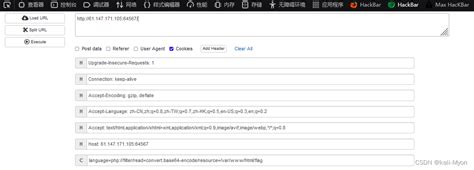 fileinclude（通过cookie赋值的文件包含） cookie文件包含 csdn博客