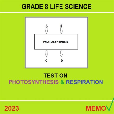 Grade 8 Life Science Test On Photosynthesis And Respiration With