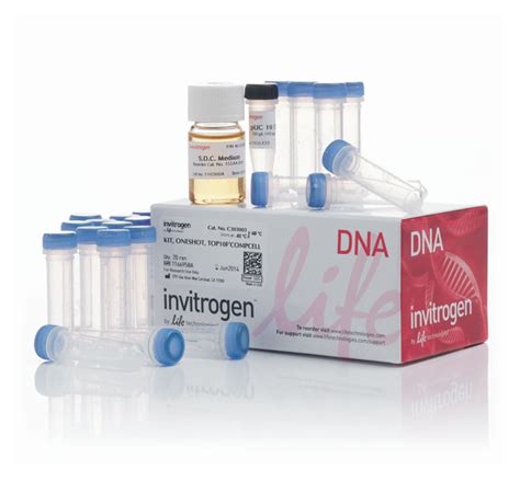 Invitrogen One Shot Top10f Chemically Competent E Coliprotein