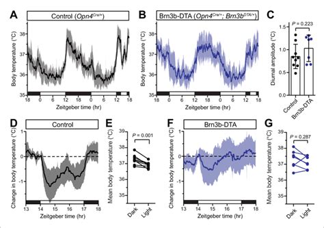 Brn3b Negative Iprgcs Are Insufficient For Acute Body Temperature Download Scientific Diagram