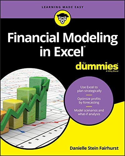 Financial Modeling In Excel For Dummies Let Me Read