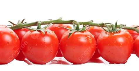 Tomatoes Vegetable Vine Background Healthy Raw Vitality Png