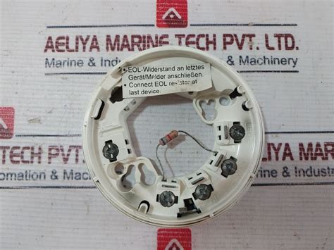 Detector Base Aeliya Marine
