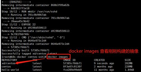 使用docker搭建hadoop集群 伪分布式与完全分布式 coder、 博客园