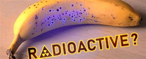 Bananas Are Slightly Radioactive The Fact Base