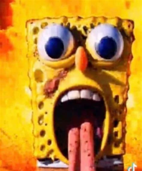 Sponge Bob Scary Scream Meme Ig Memes Spongebob Funny
