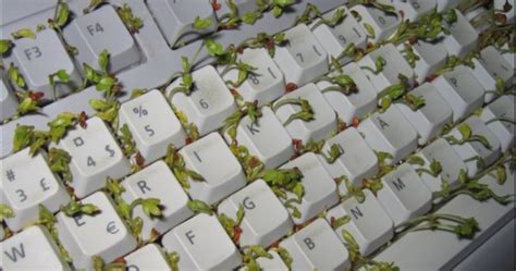 Слепая печать Пикабу