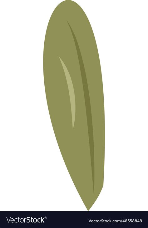 Tree Leaf Icon Royalty Free Vector Image VectorStock