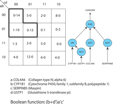Karnaugh Map And Tree Representation Of The Most Parsimonious Boolean