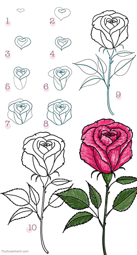 Chia Sẻ 86 Về Hình Vẽ Hoa Phượng Vn