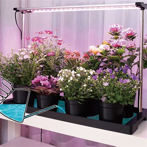 Plant Grow Light Kit Plant Germination Light Kit Oliz Smart Garden
