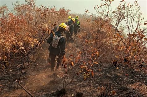 Abi Abt Inicia 17 Procesos Penales Y Emite 131 Citaciones De