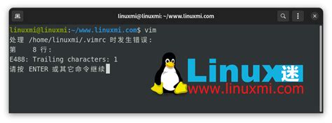 个自定义技巧让 Vim 看起来更棒 Linux迷