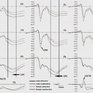 Grand Average ERP Responses To Attractive And Unattractive Cartoon
