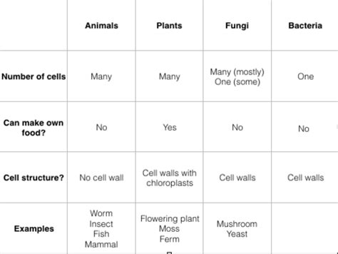 Psle Science Diversity Classification Flashcards Quizlet