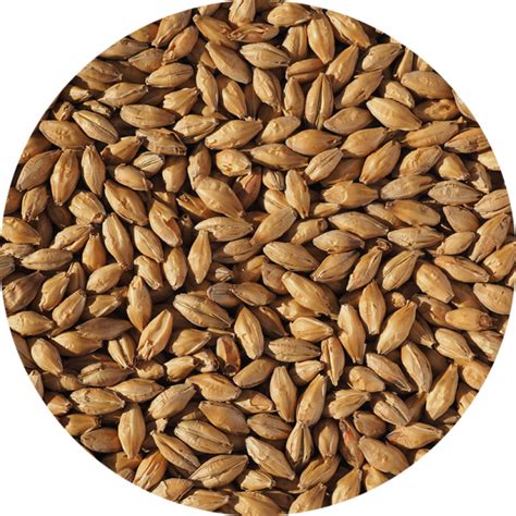 Table Beer Recipe from Crisp Malt | British Extra Pale Malt & Dextrin