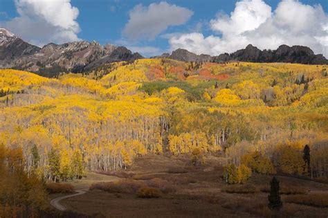 Experience The Fall Colors Of Kebler Pass