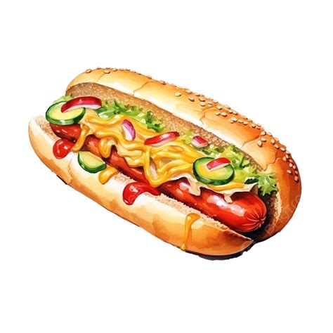 Hot Dog Comida Rápida Acuarela Png Dibujos Pancho Acuarela Pintura A