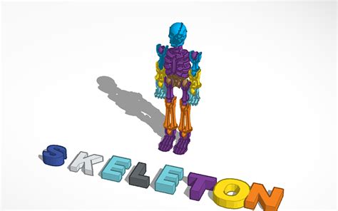 3d Design Skeleton Tinkercad