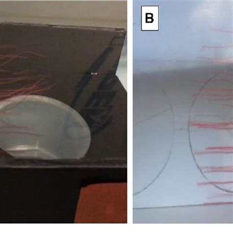 Experimental Visualisation Of The Flow Regime With The Tuft Test In The