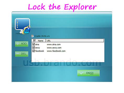 Usb Web Key And Usb Key