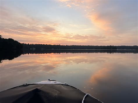 Centennial Animal Hospital And Gravenhurst Veterinary Services An 8