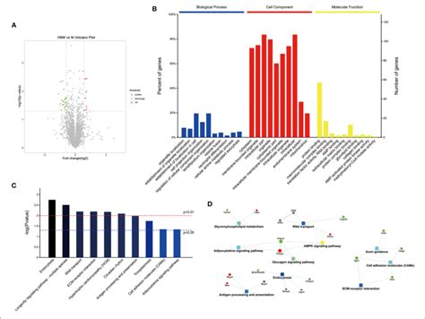 Functional Proteomics And Bioinformatics Analysis Between The M And