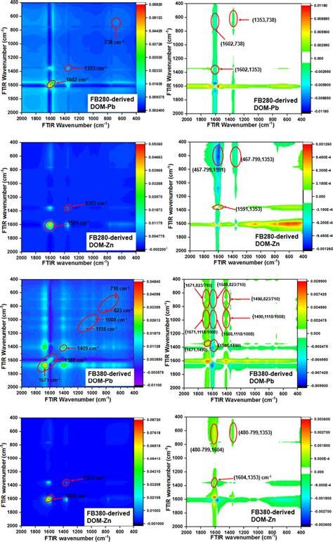 Synchronous Left And Asynchronous Right 2D COS Maps Generated From