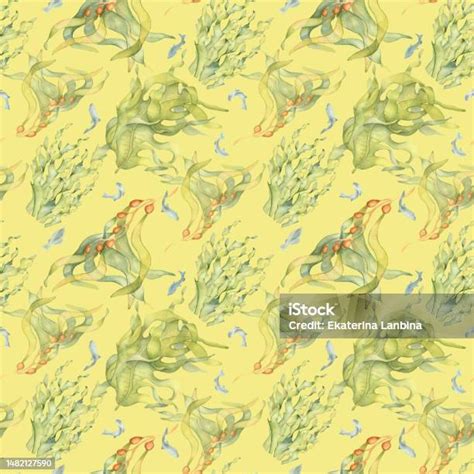 노란색에 격리된 다채로운 바다 식물 수채화 그림의 매끄러운 패턴 Laminaria 다시마 허브 해조류 손으로 그린 배경 섬유 포장 포장 해양 컬렉션 디자인 0명에 대한 스톡