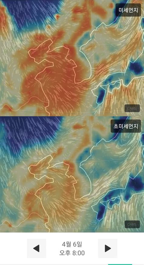 미세먼지 걍 생화학 테러 수준이네 실시간 베스트 갤러리
