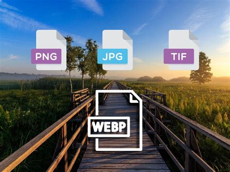 10000 Images Converted From Png Jpeg Tiff To Webp Upwork