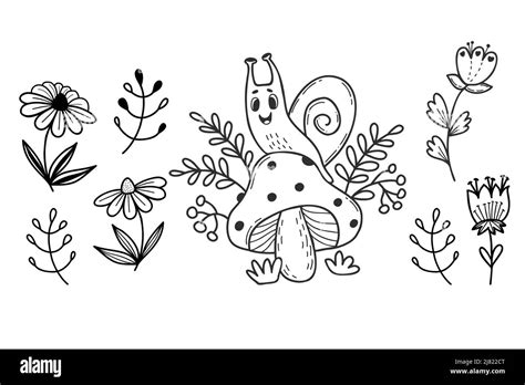 Collection Mignon Escargot Et Fleurs Décoratives Pâquerettes Et
