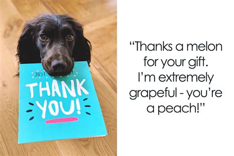 Thank You Messages For Gift Words Of Appreciation WishesMsg 41 OFF