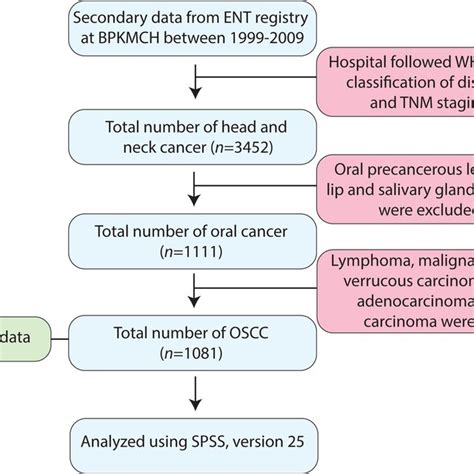flow chart showing steps in data collection and analysis download